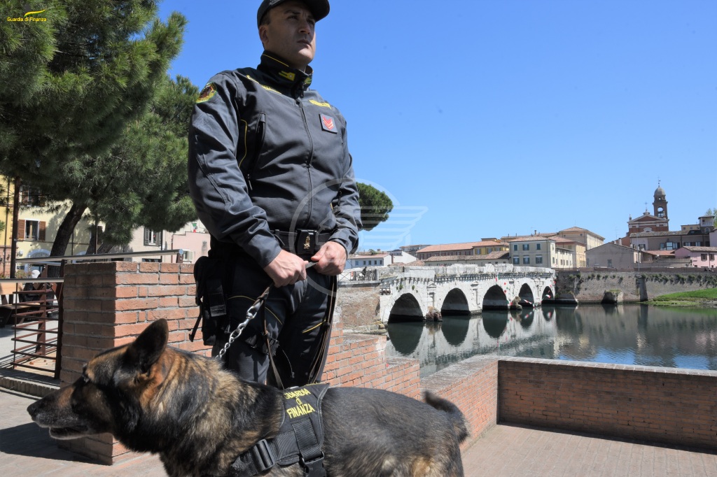 Sentenza di primo grado per l'operazione "Old Frank": condannati gli ...